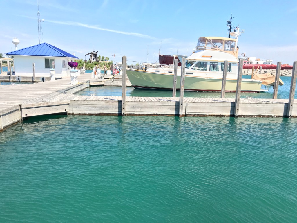 Graphic Art and Surface Pattern Design by Tresa Meyer-Clark